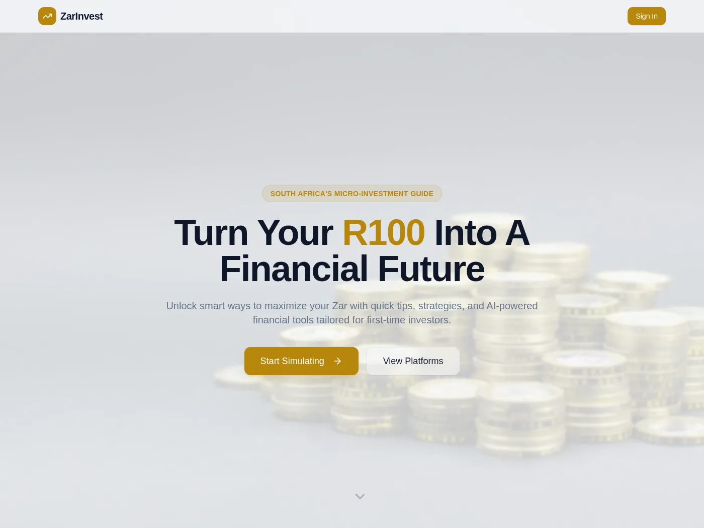 100 Zar Investment Guide