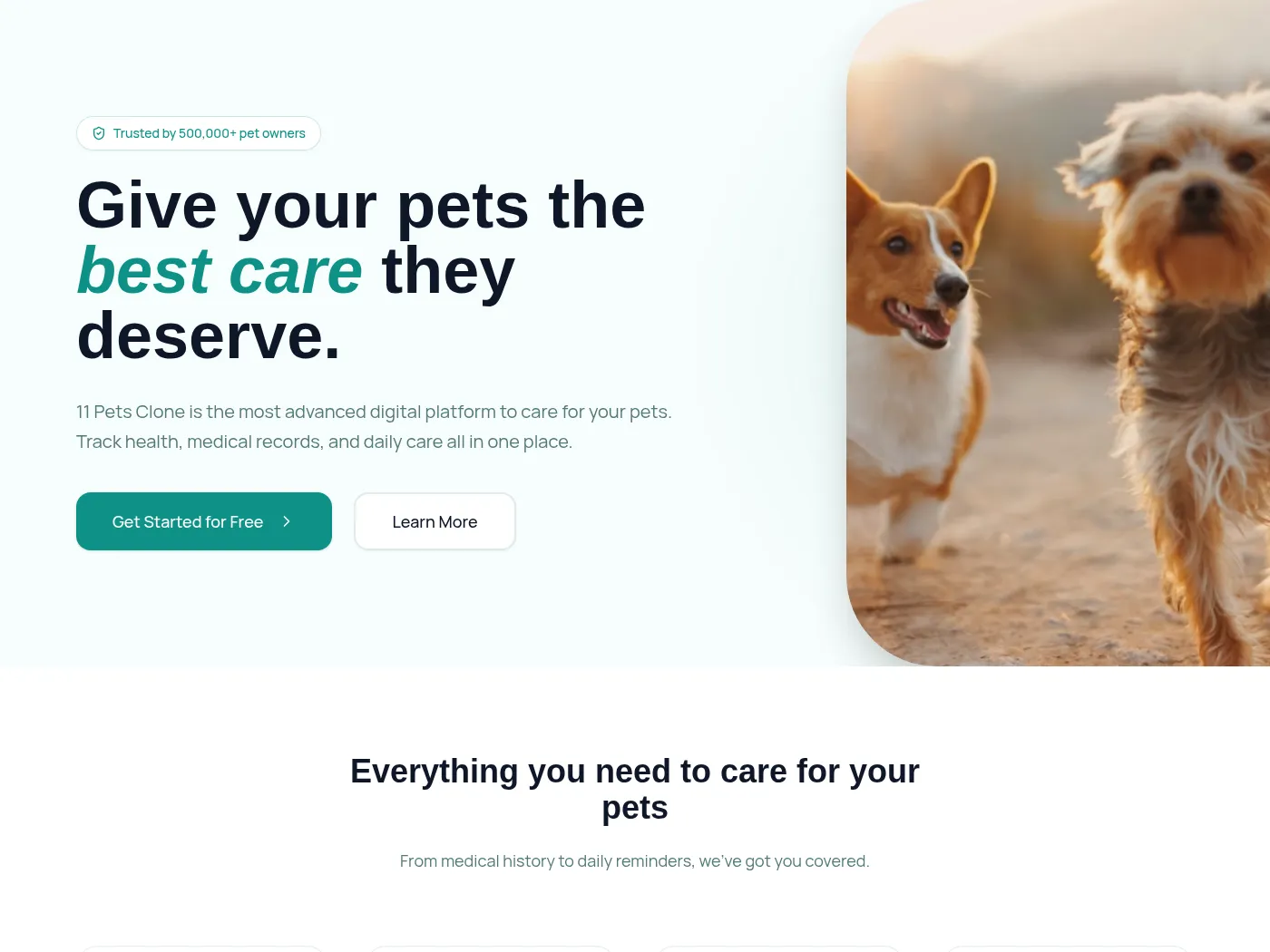 11 Pets Clone