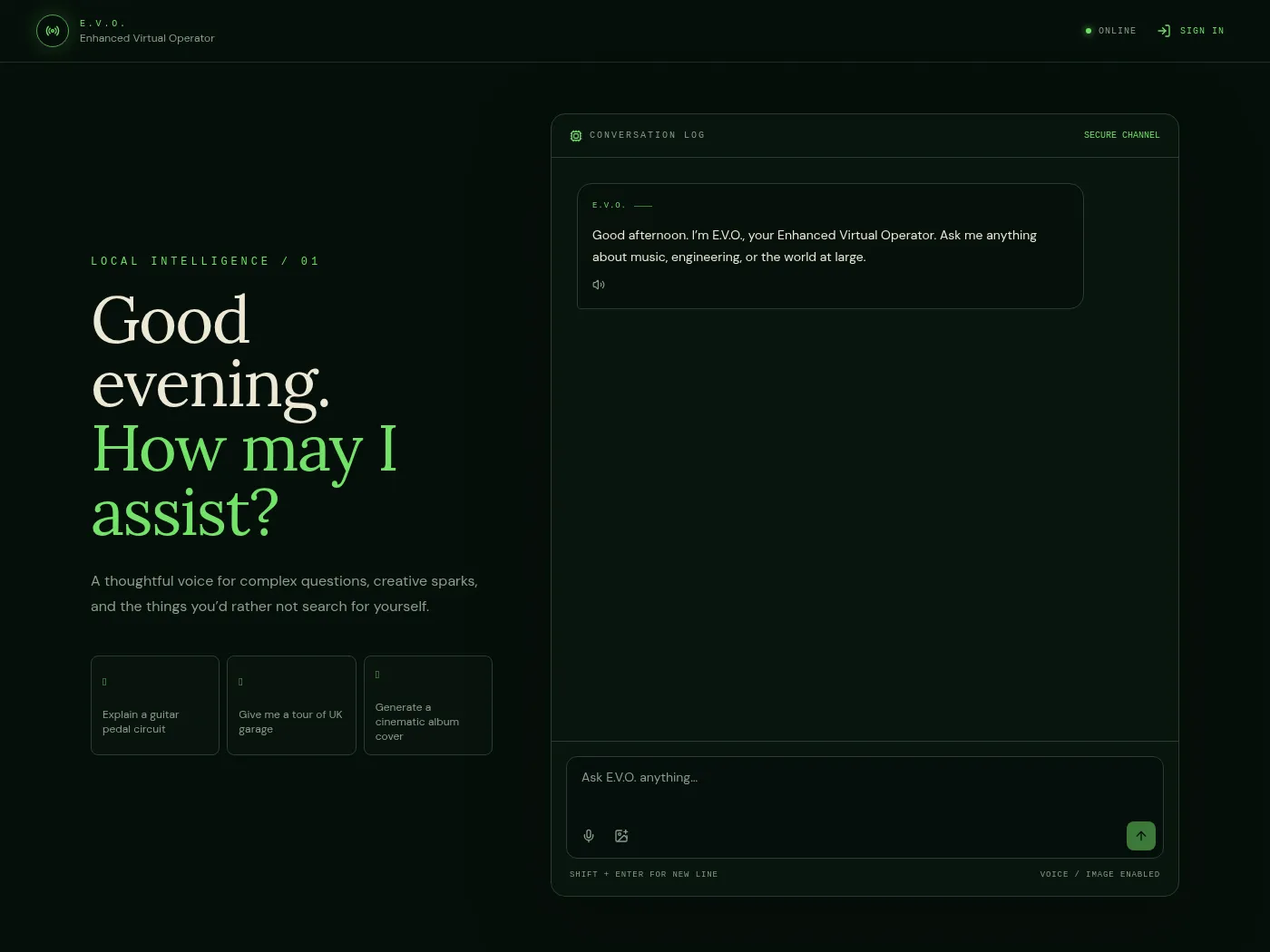 E.V.O AI Assistant