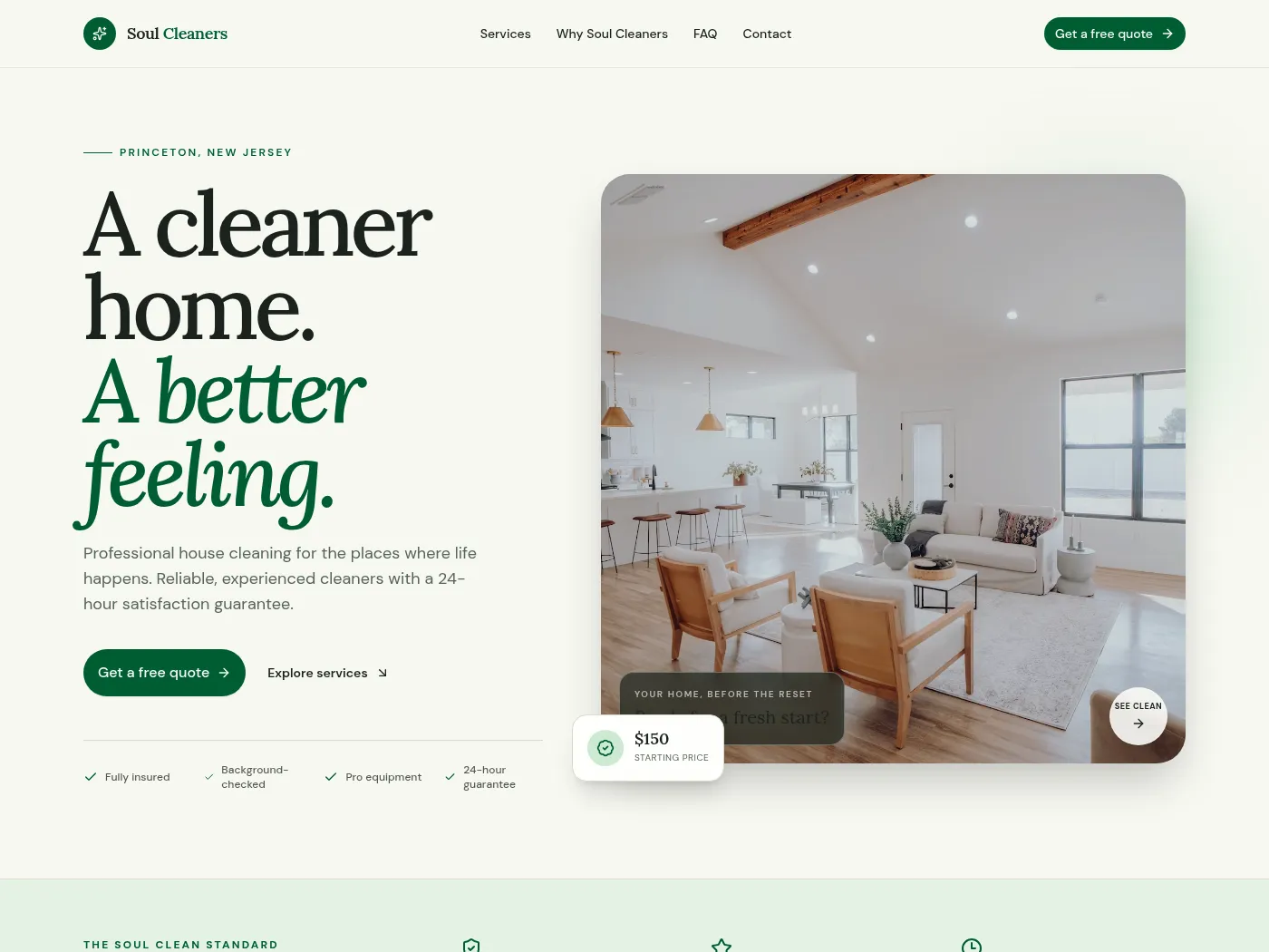 Soul Cleaners Site