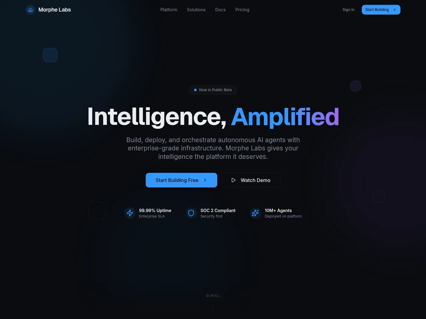 Morphe Labs Experience
