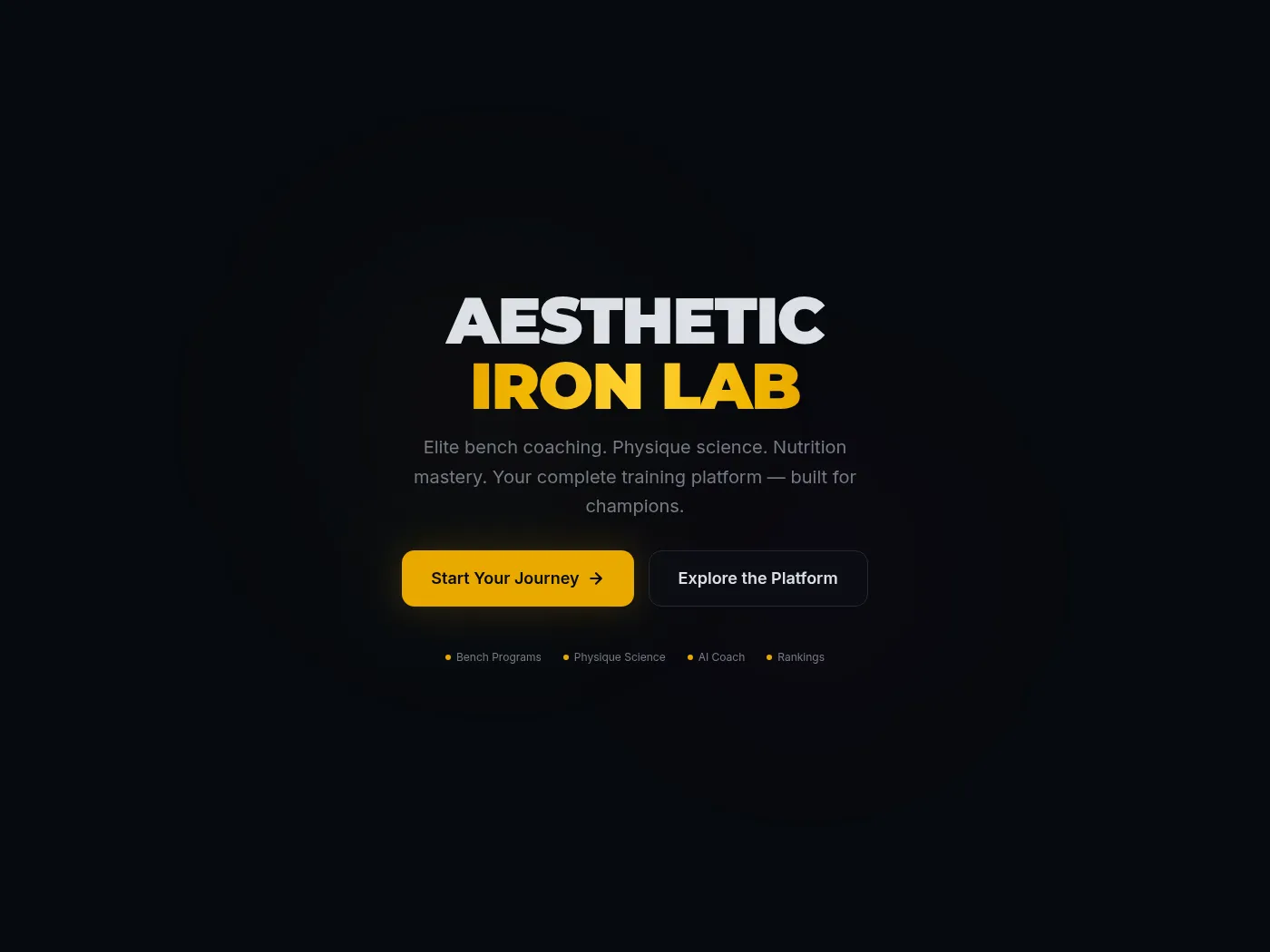 Aesthetic Iron Lab