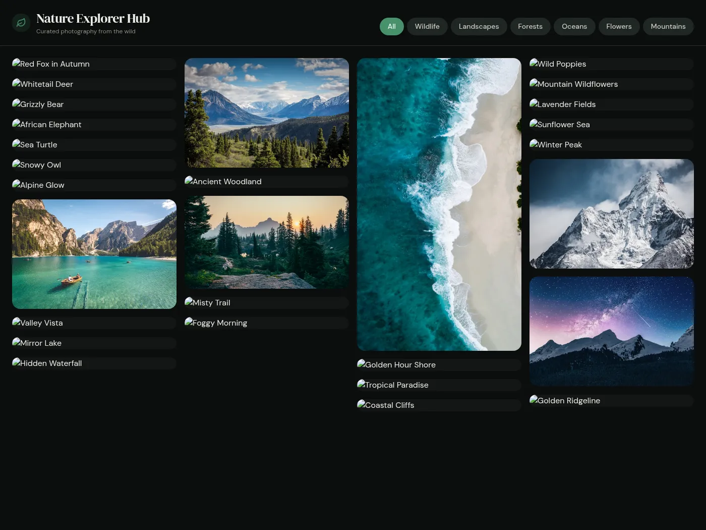 Nature Explorer Hub