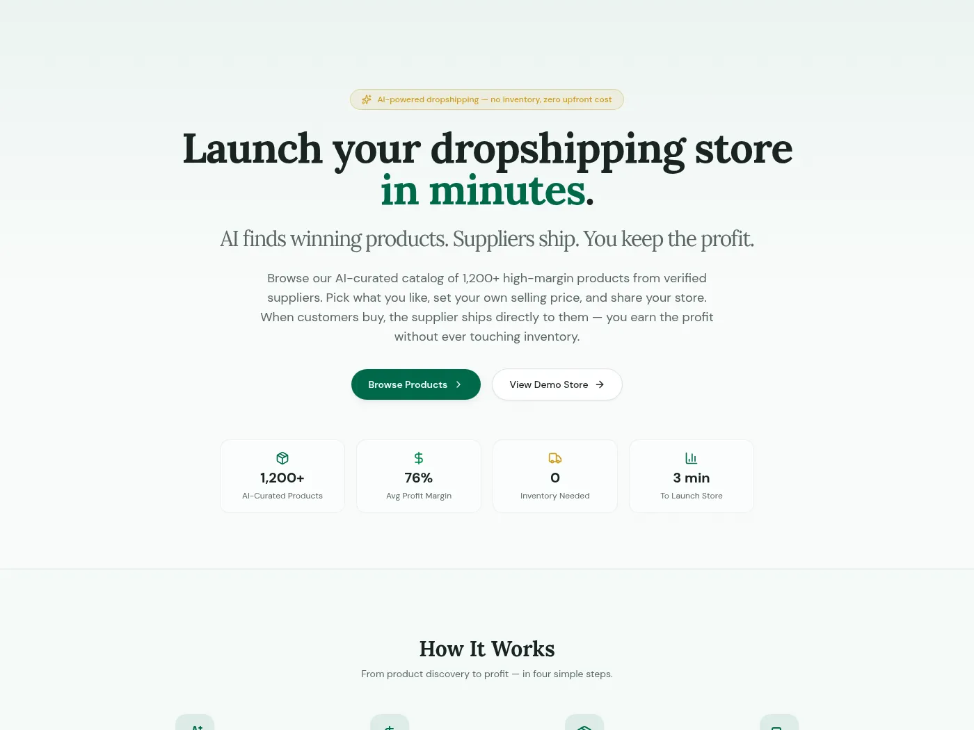 AIDrop Shop Builder