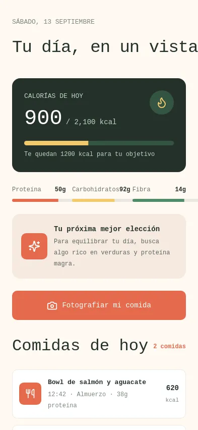 SnapDiet AI Tracker