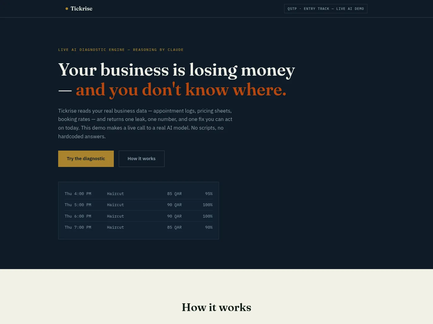 Tickrise AI Diagnostic