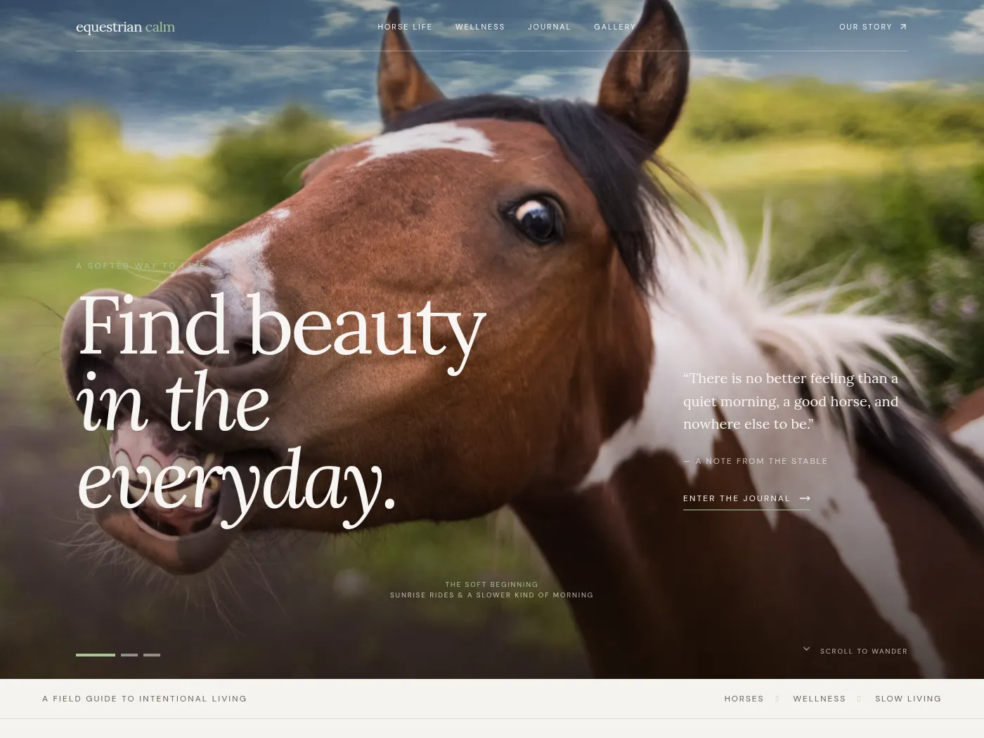 Equestrian Calm Life