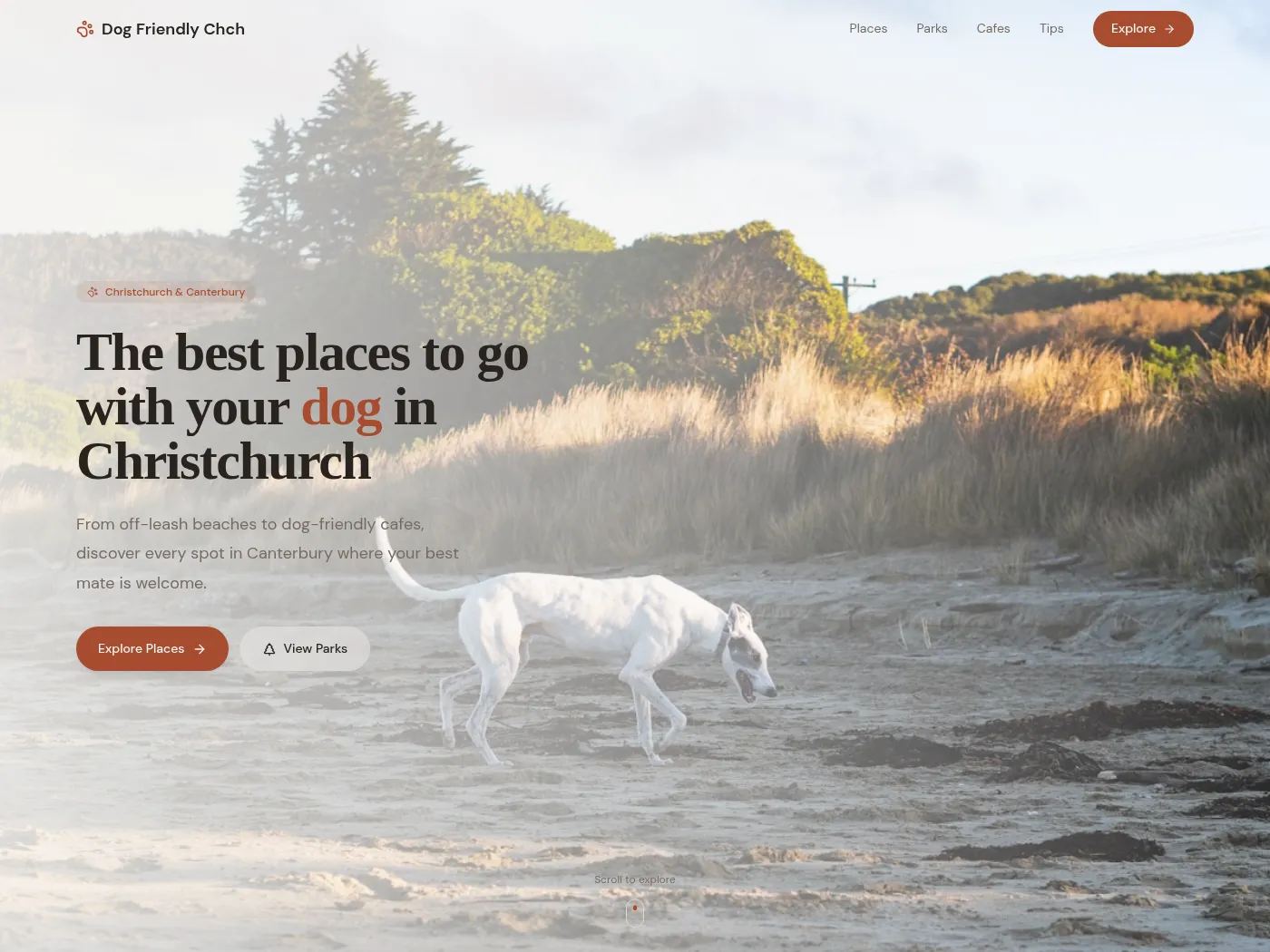 Dog Friendly Chch