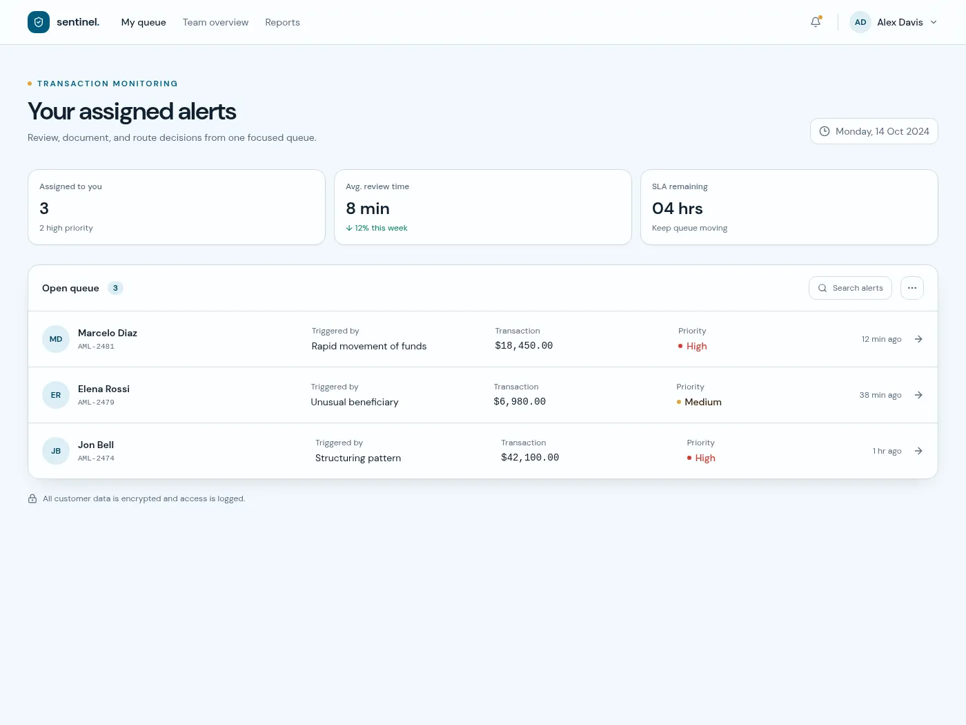 AML Alert Decision Page