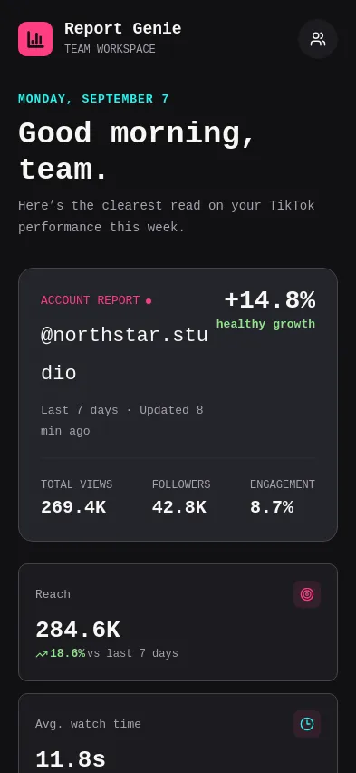 TikTok Report Genie