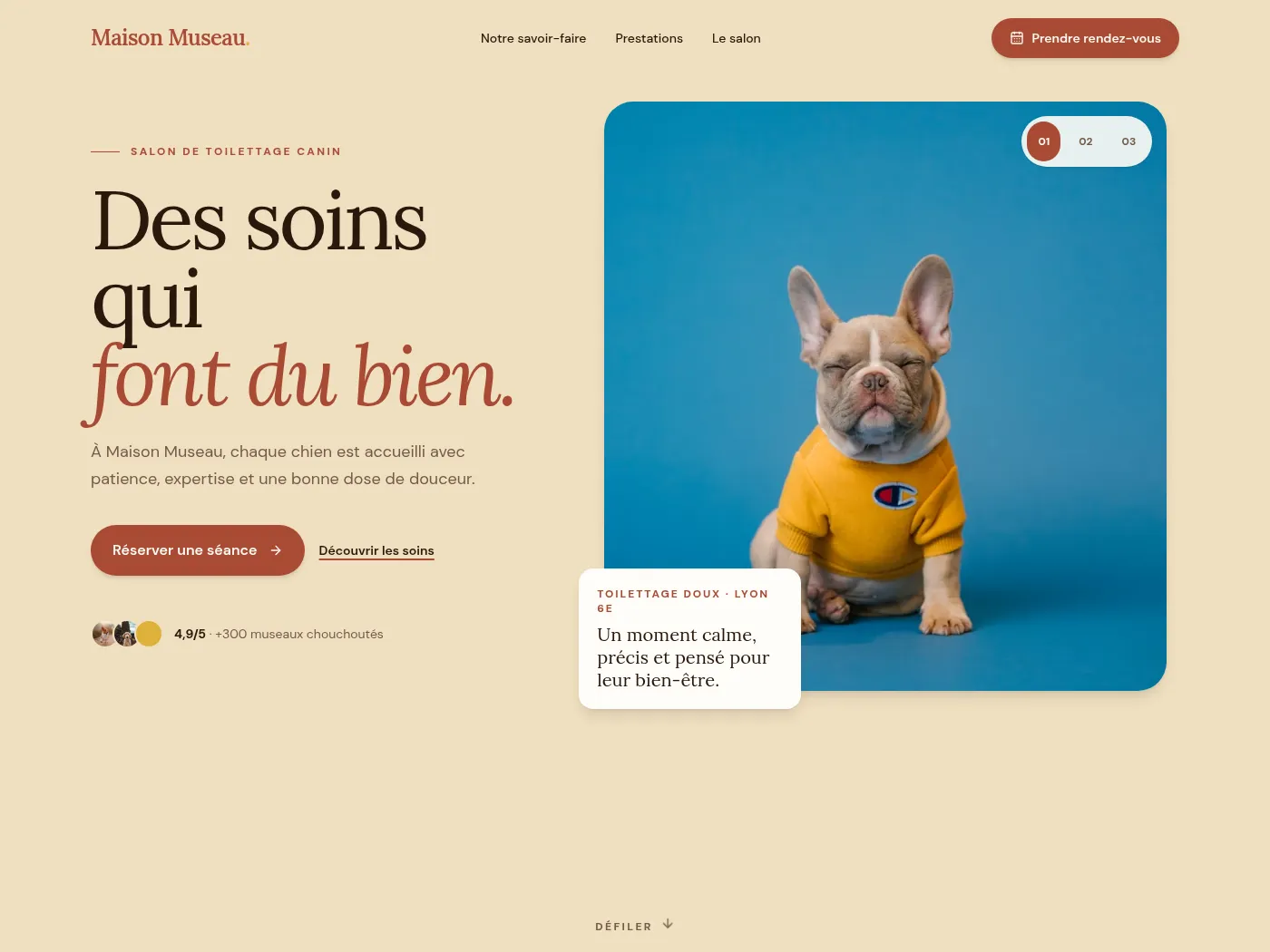 Dog Groomer Showcase