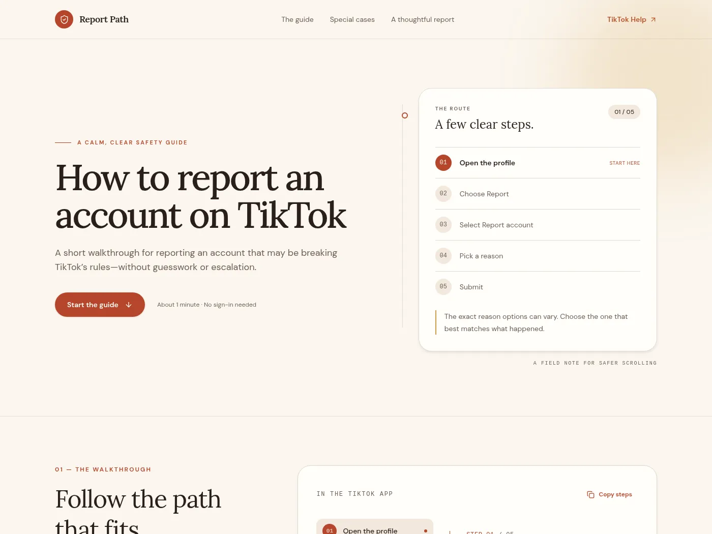 TikTok Report Guide
