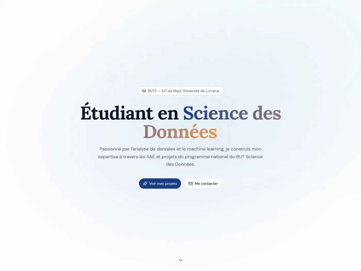 Lorraine Data Portfolio