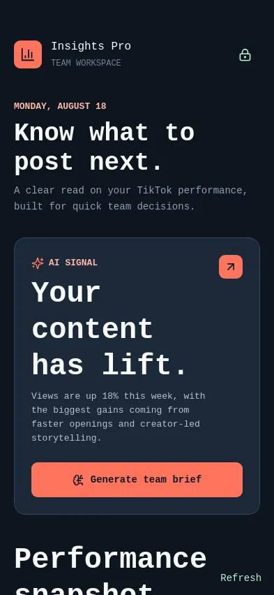 TikTok Insights Pro