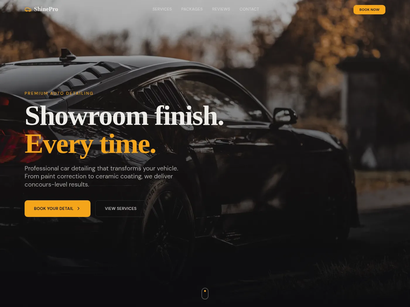 ShinePro Detailing Site