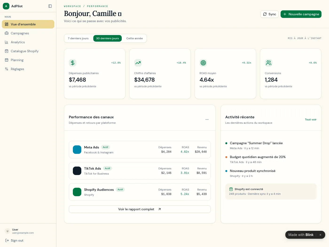 Shopify Ads Manager