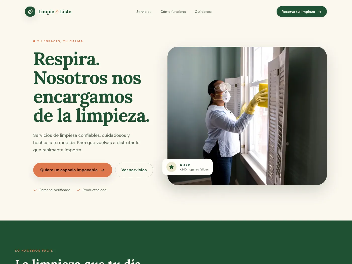 CleanPro Web Page