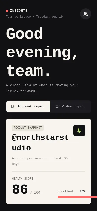 TikTok Insights Mobile
