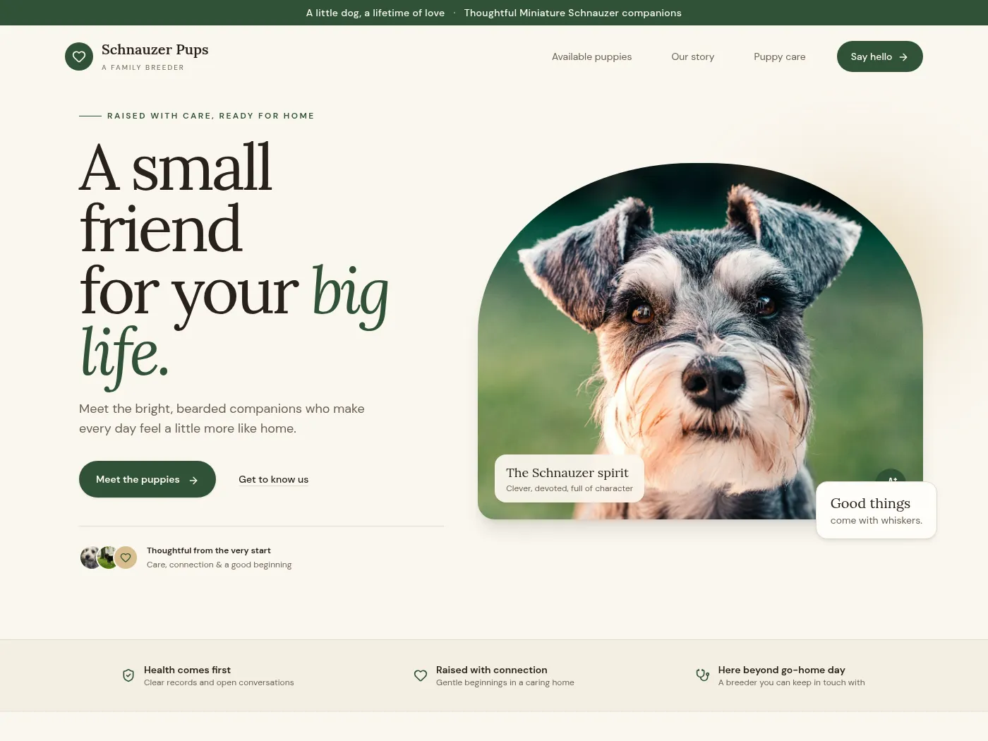 Schnauzer Pups Hub