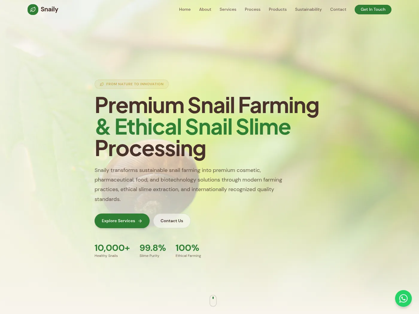 Snaily Luxe Website