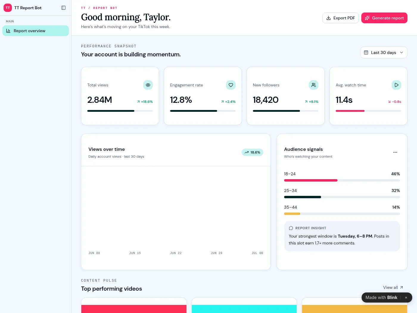 TT Report Bot