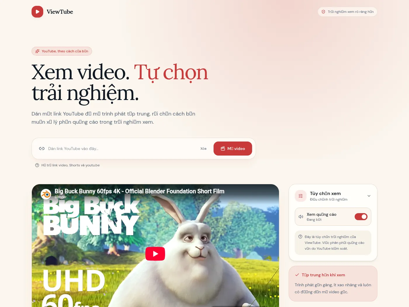 YouTube Ad Toggle Viewer