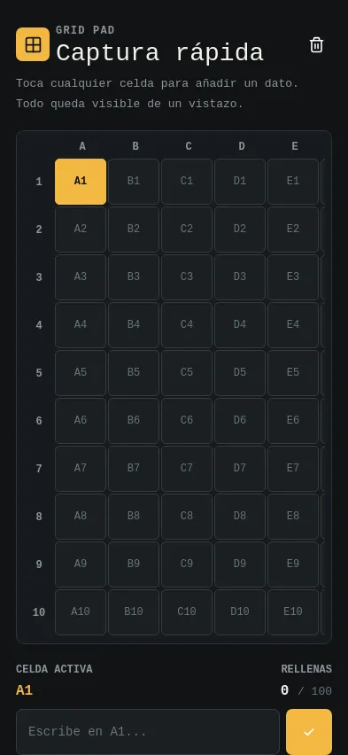 Grid Data Entry App