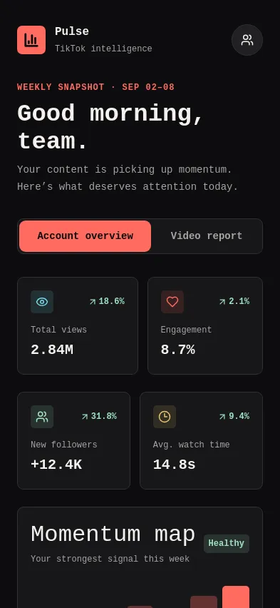TikTok Insights Mobile