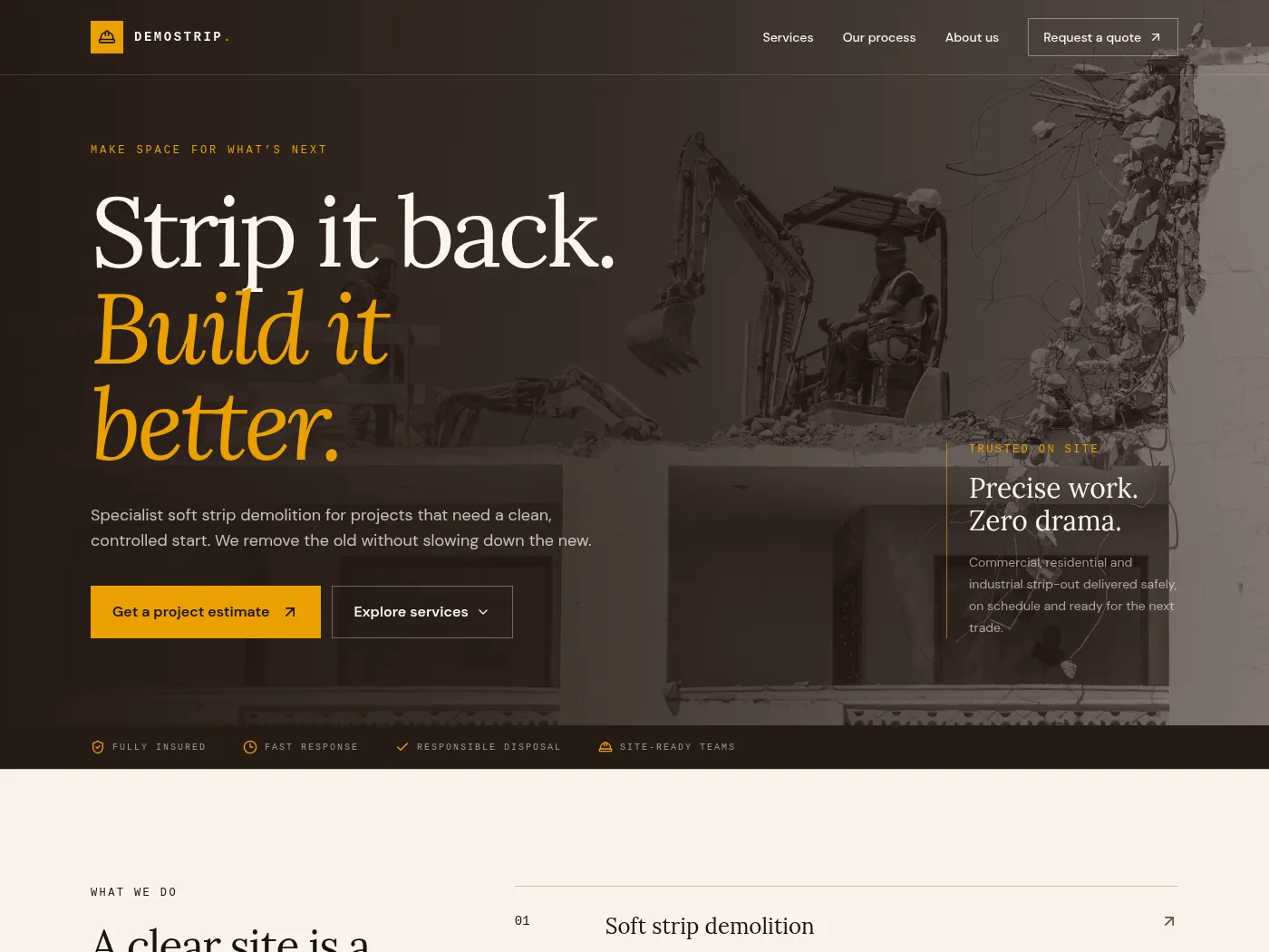 DemoStrip Web Presence