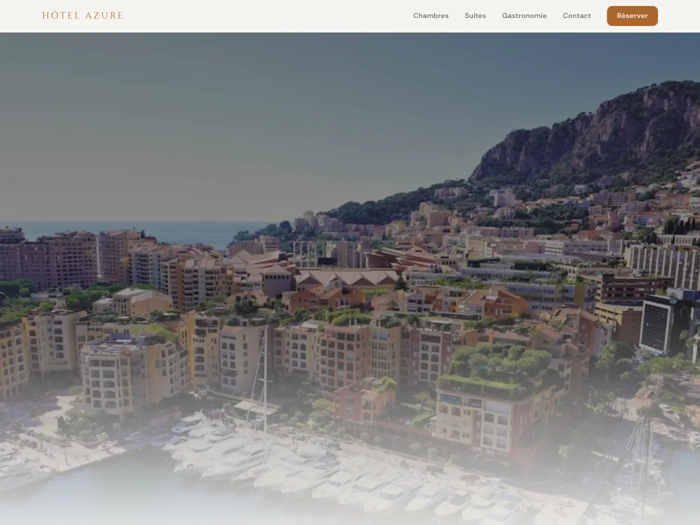 Monaco Niche Hotel Site