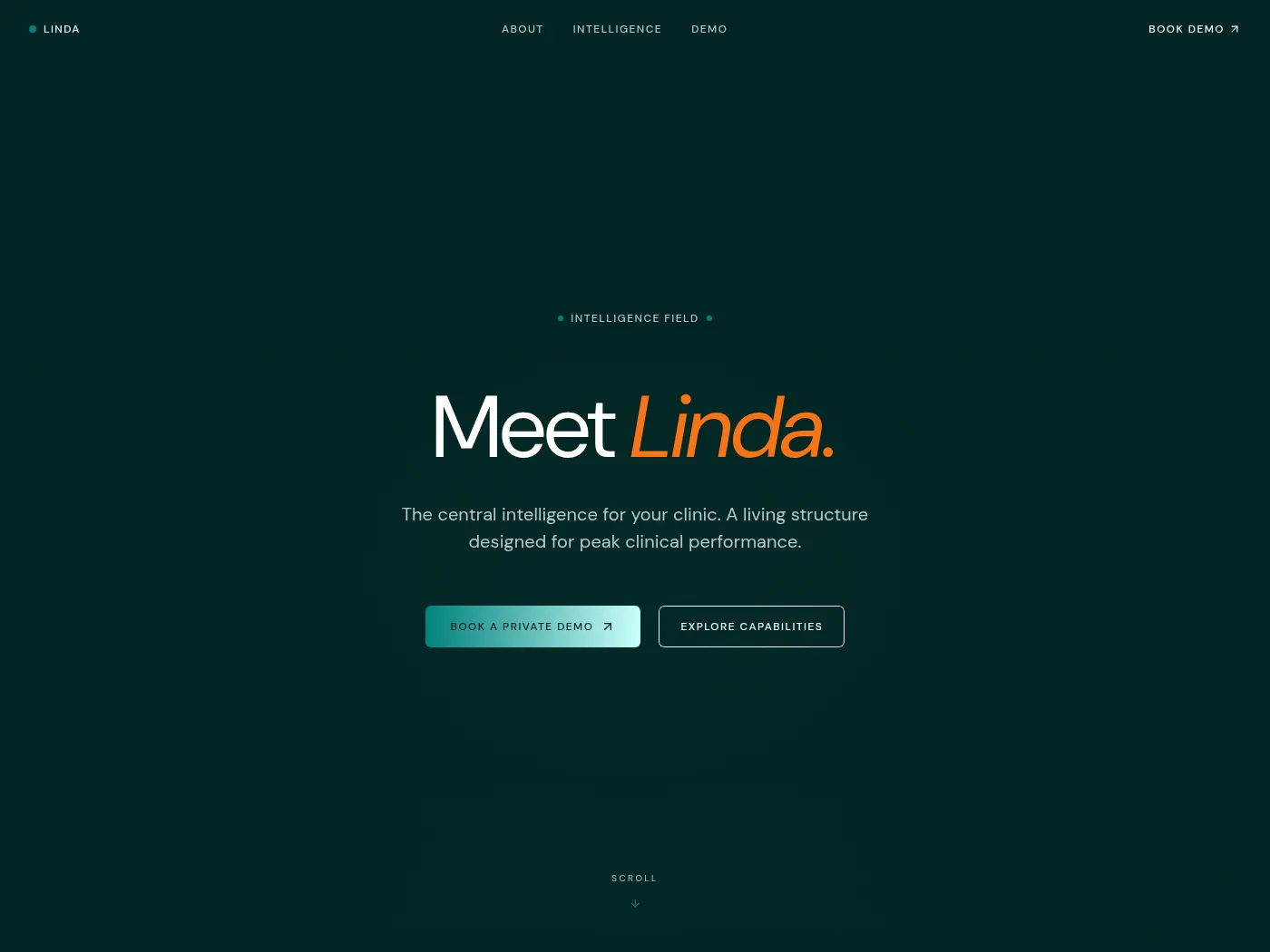 Linda Cinematic Landing