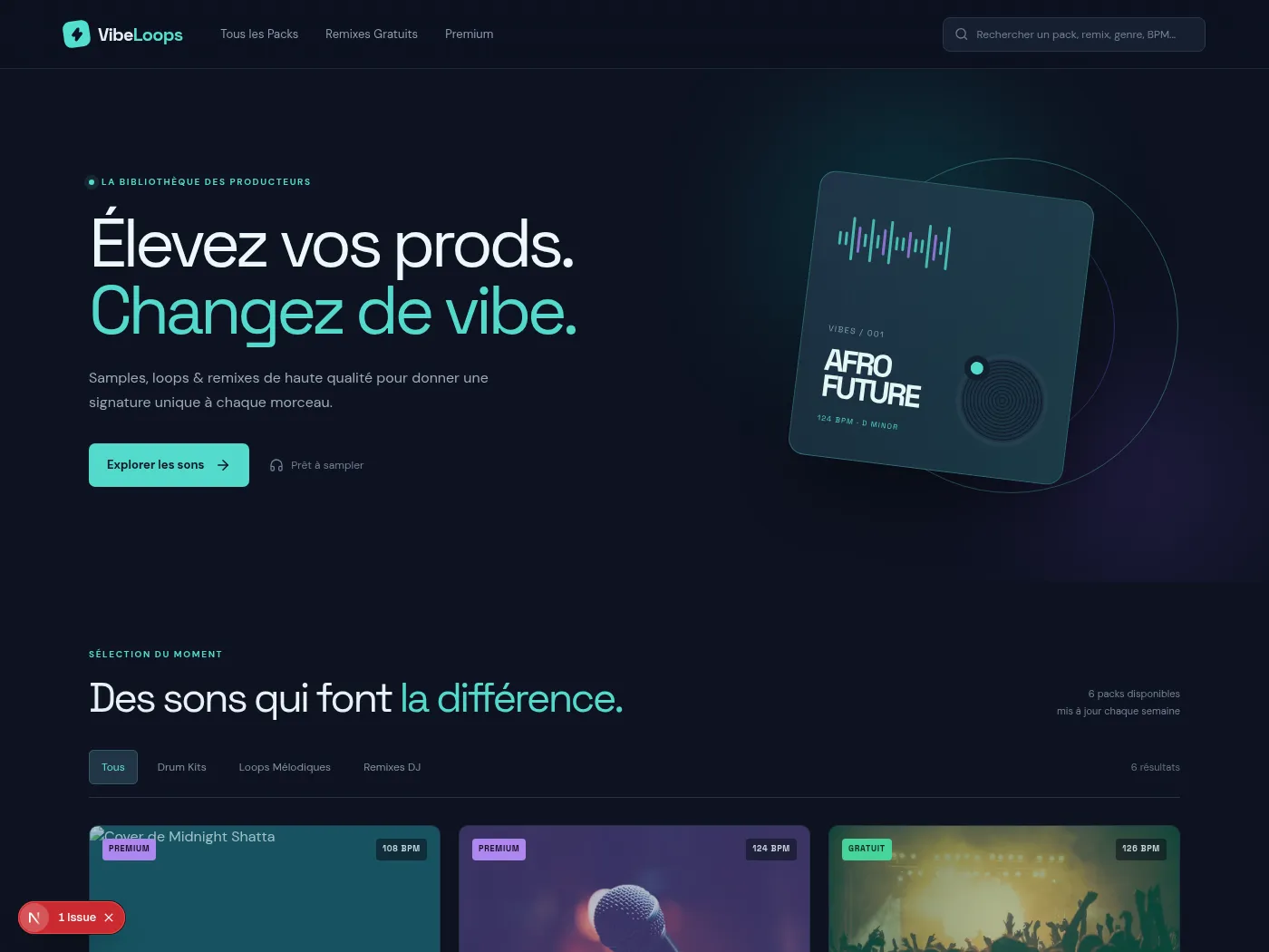 VibeLoops Music Platform
