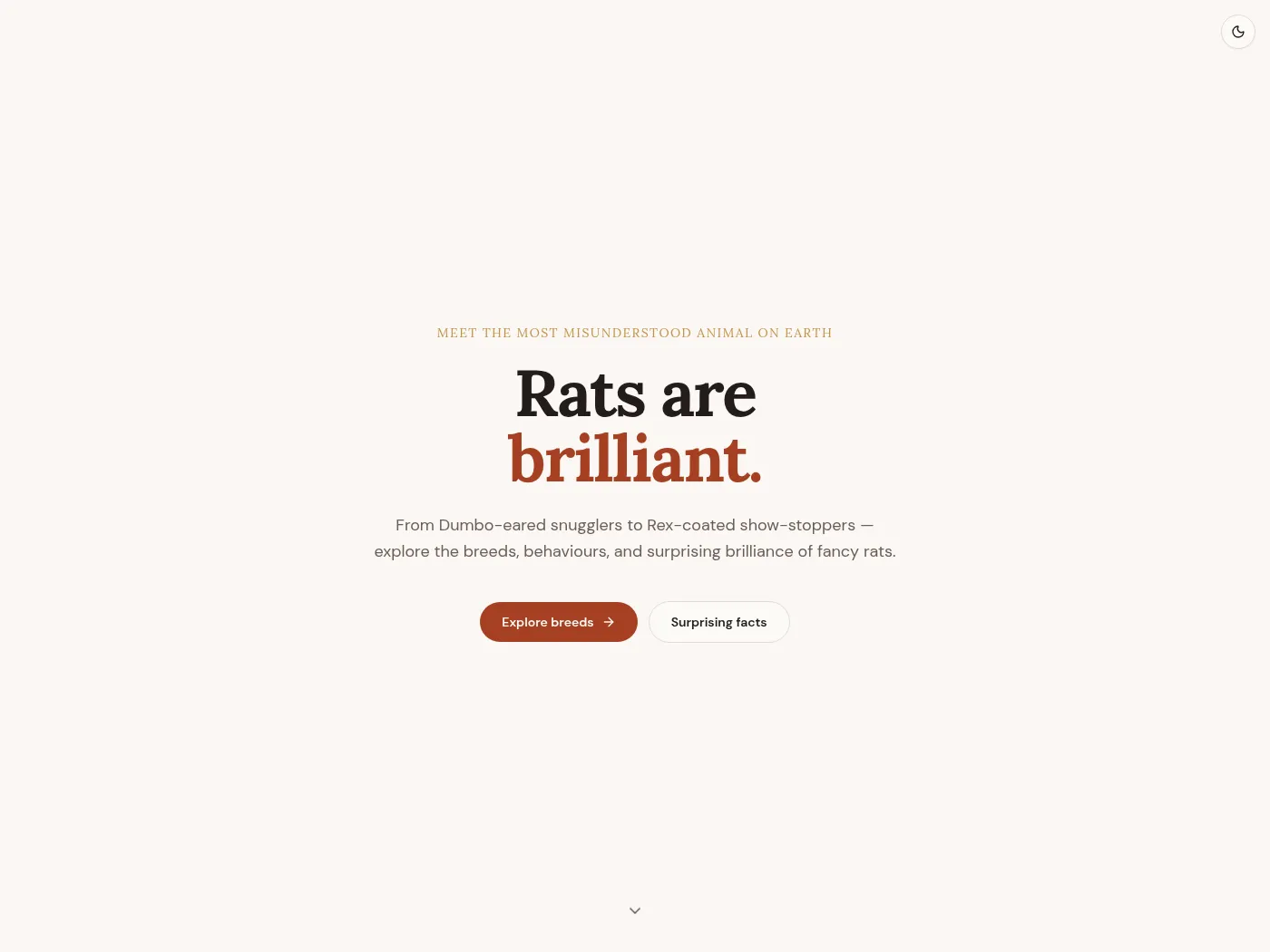 Rat Explorer