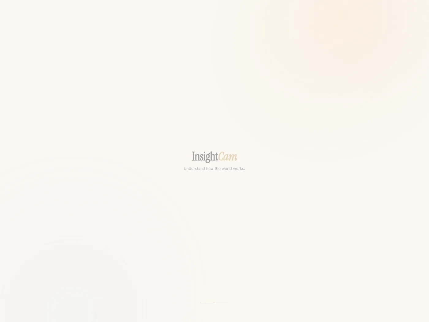 InsightCam AI