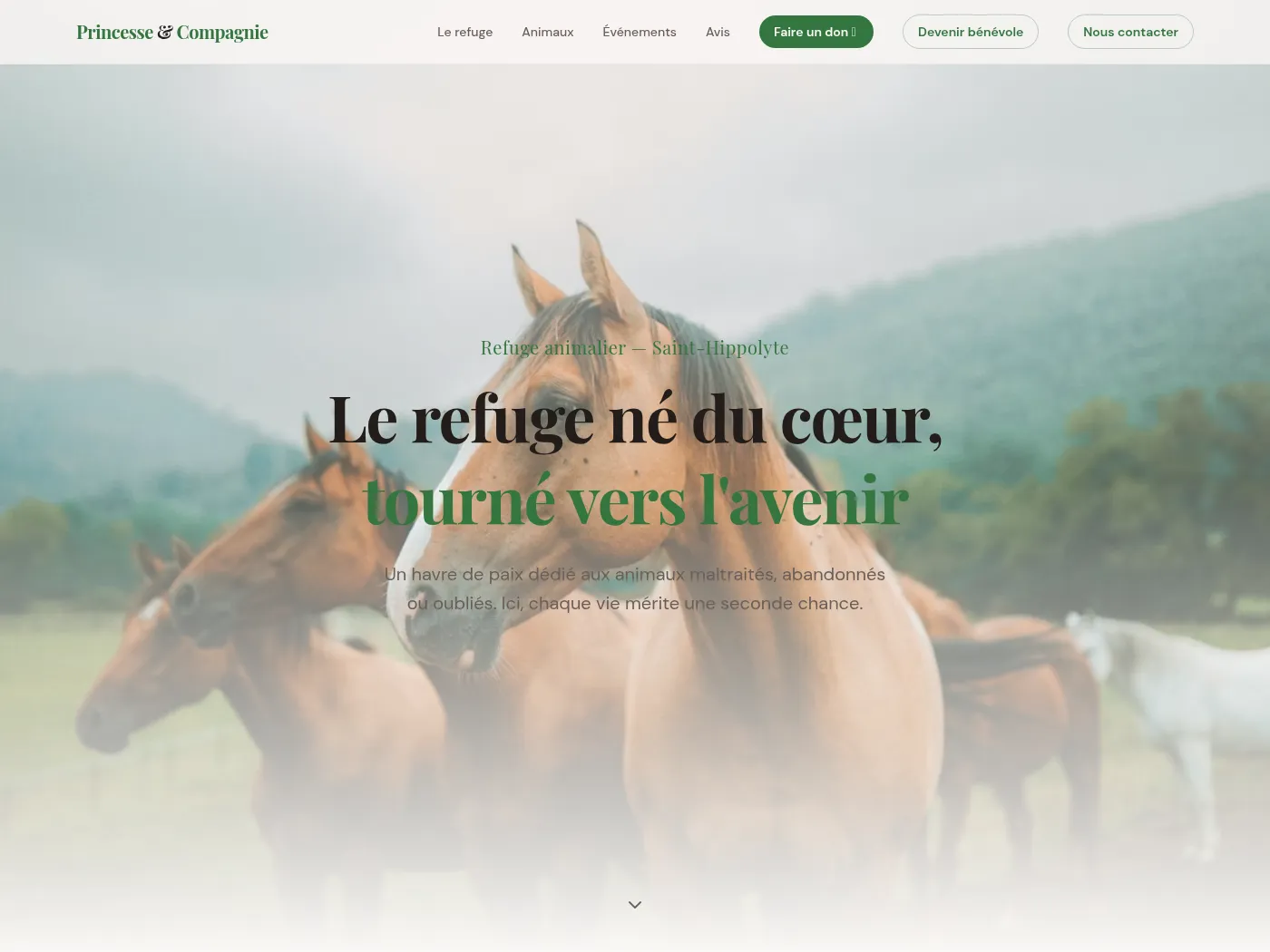 Refuge Web Presence