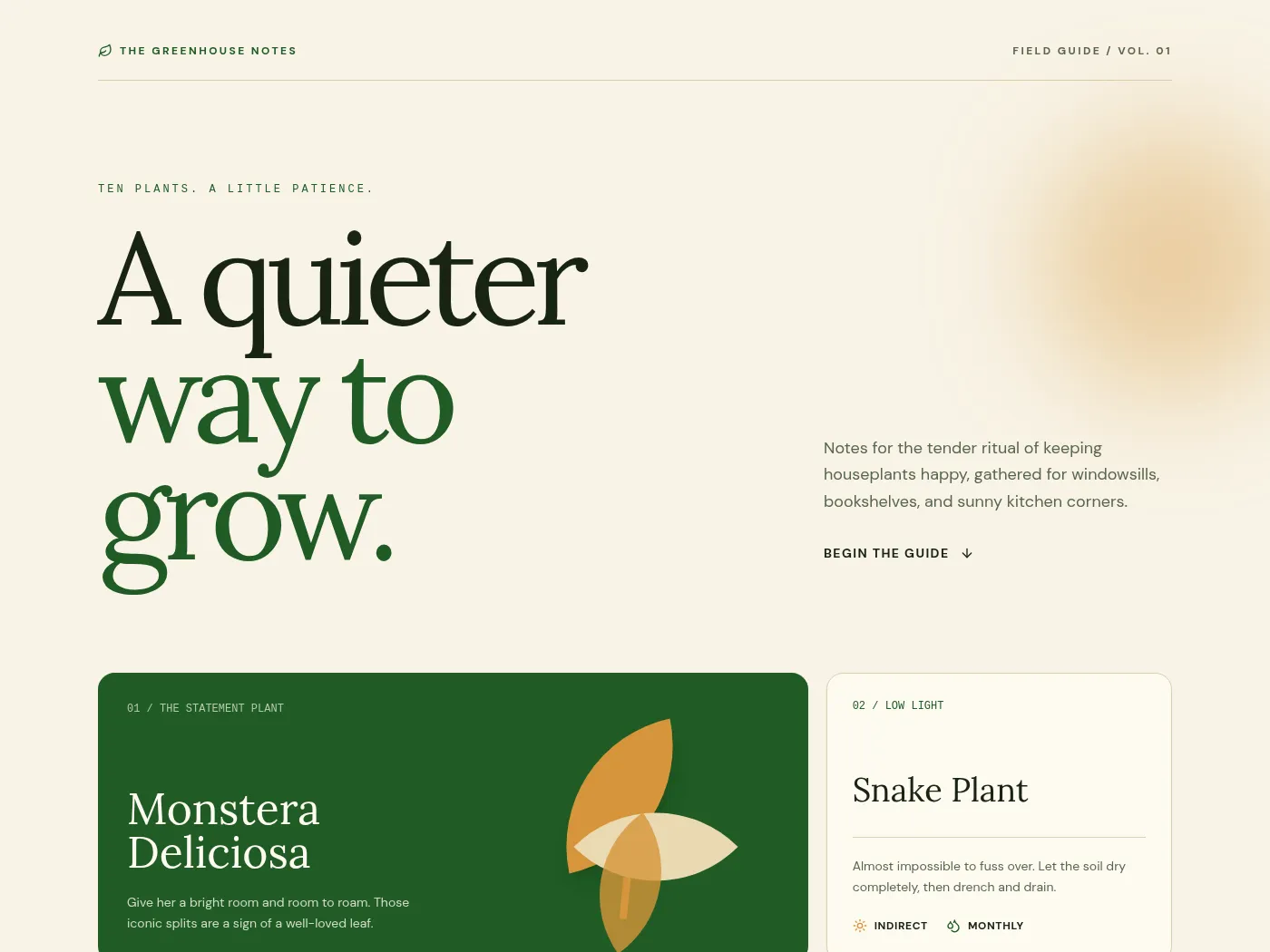 Plant Care Guidebook