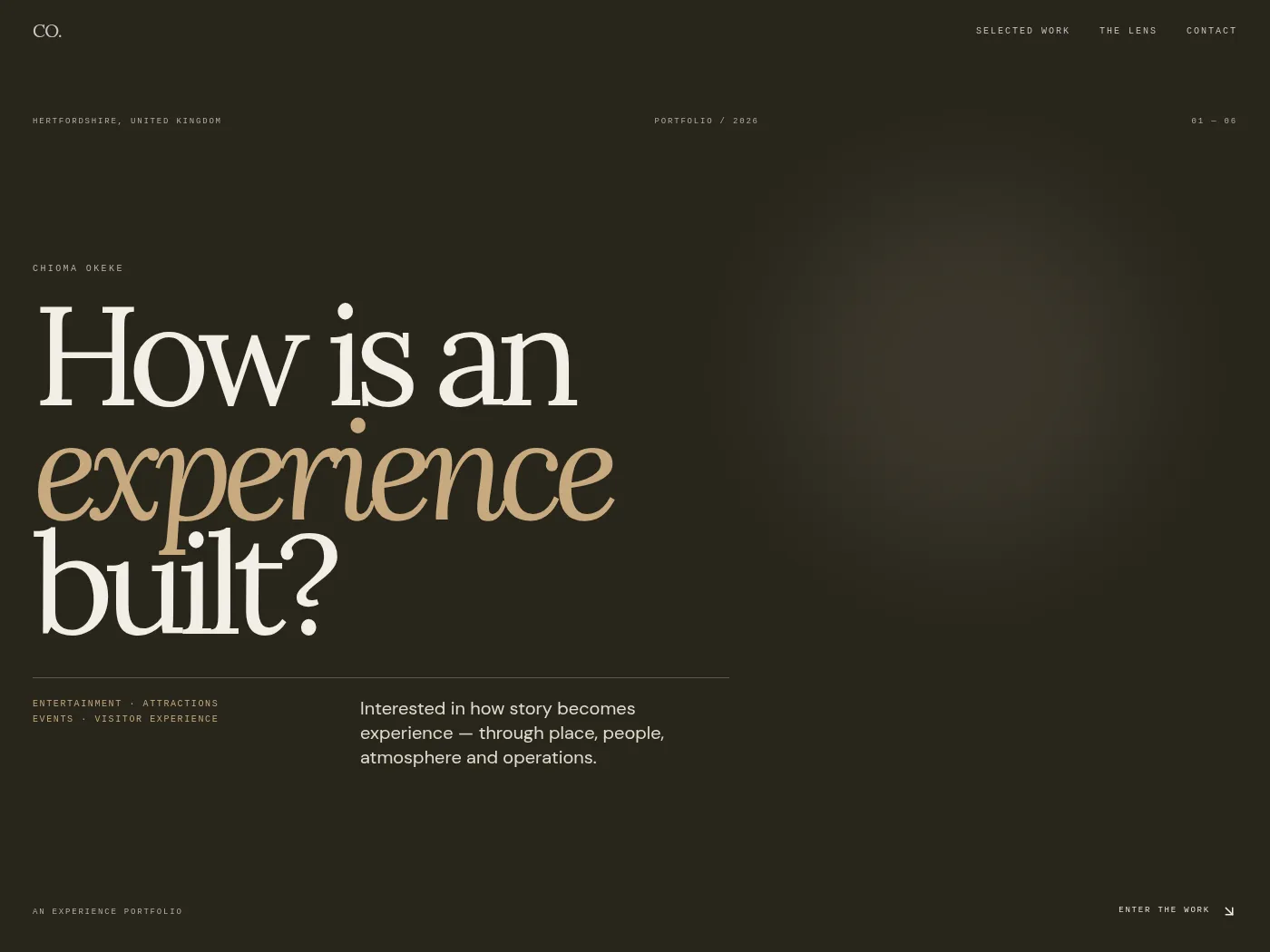 Chioma Okeke Experience Portfolio
