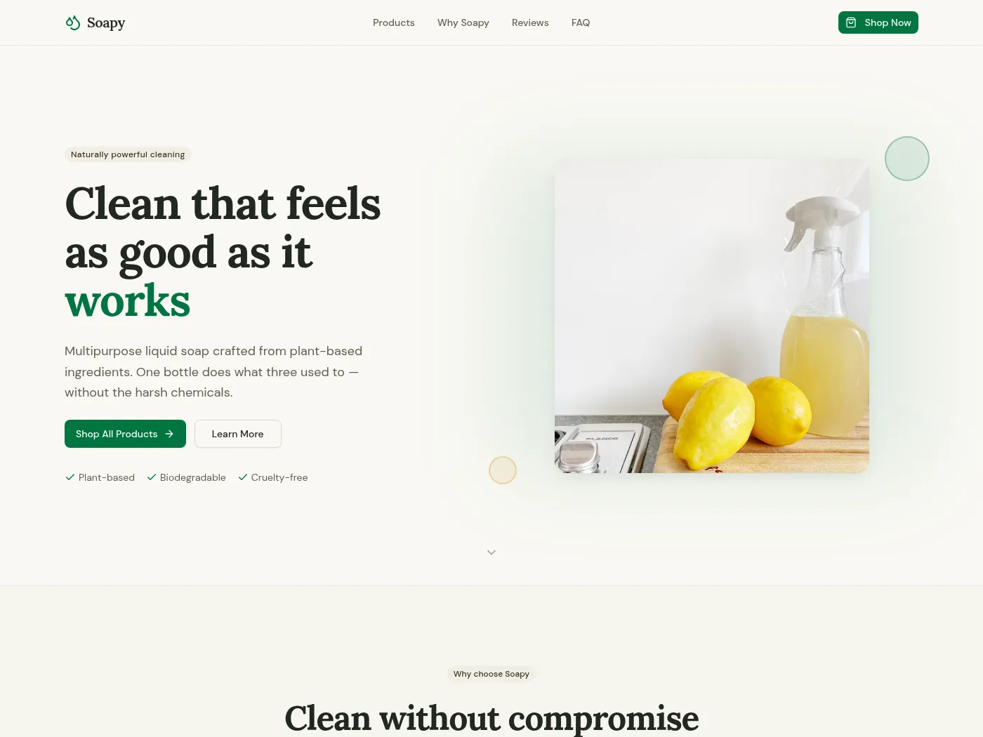 Soapy Solutions Site