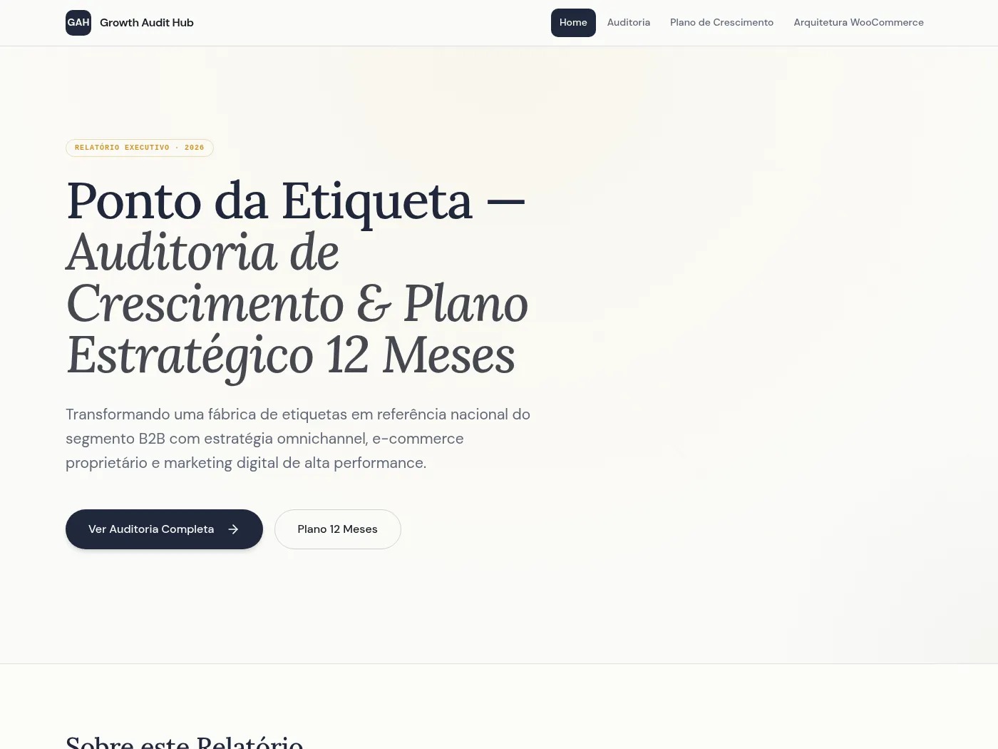 Growth Audit Consulting Hub