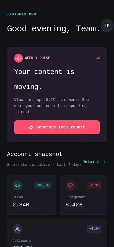 TikTok Insights Pro