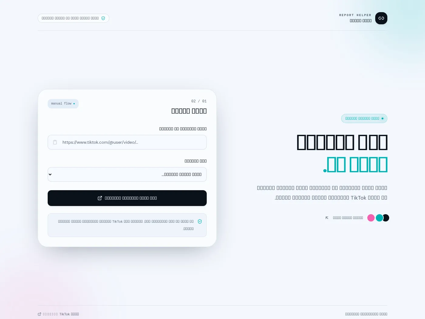TikTok Report Helper