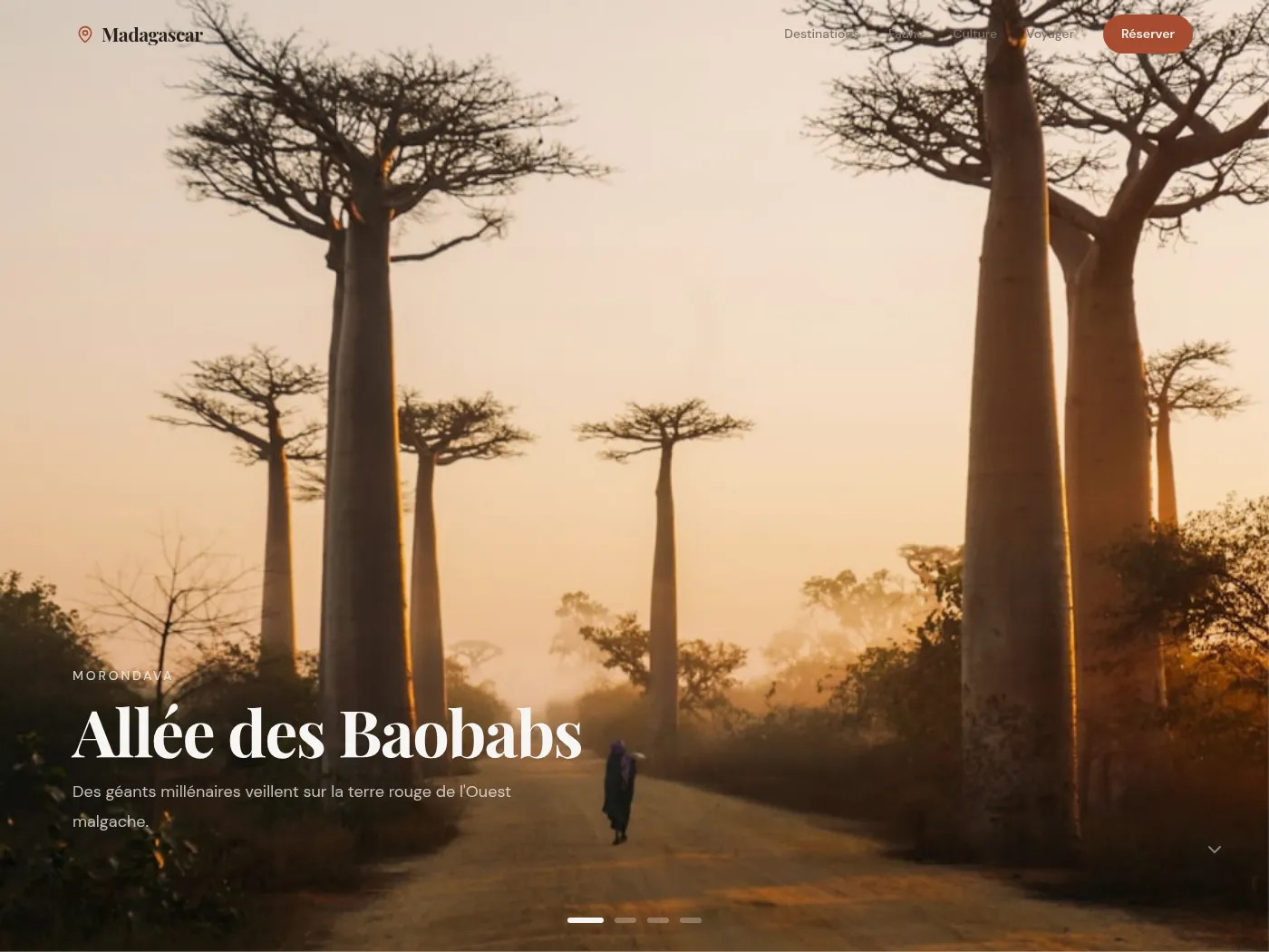 Madagascar Voyage Promo