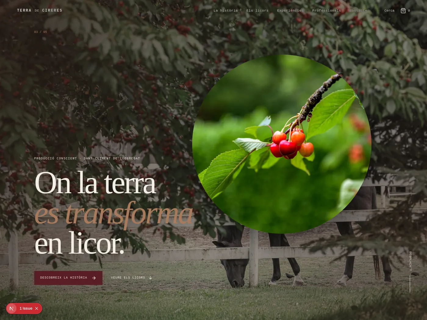 Terra de Cireres Web