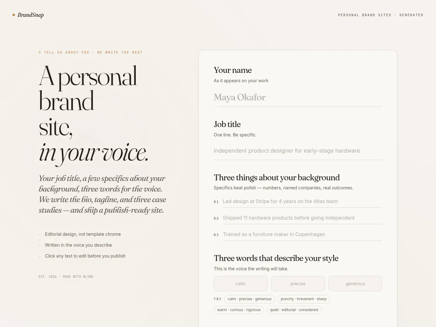 BrandSnap AI Portfolio