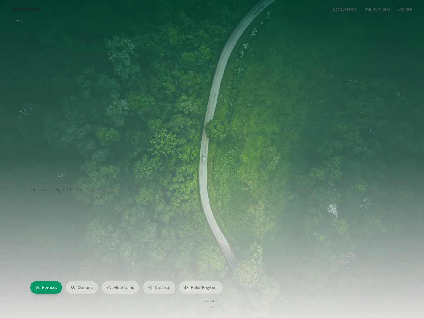 Earth Nature Overview