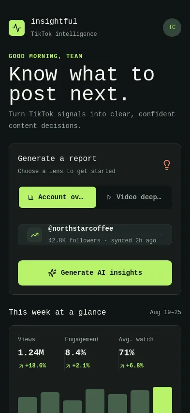 TikTok Insights AI