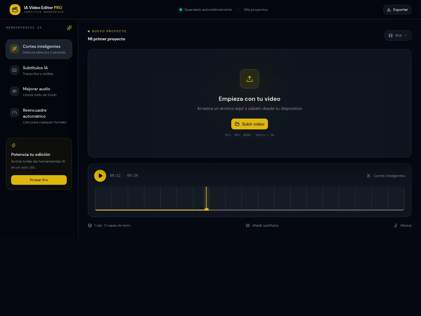 IA Video Editor Pro