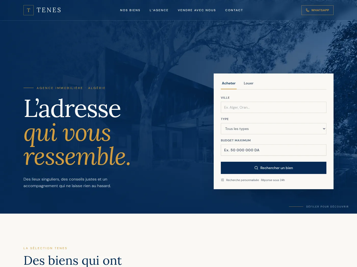 Tenes Luxury Realty Site