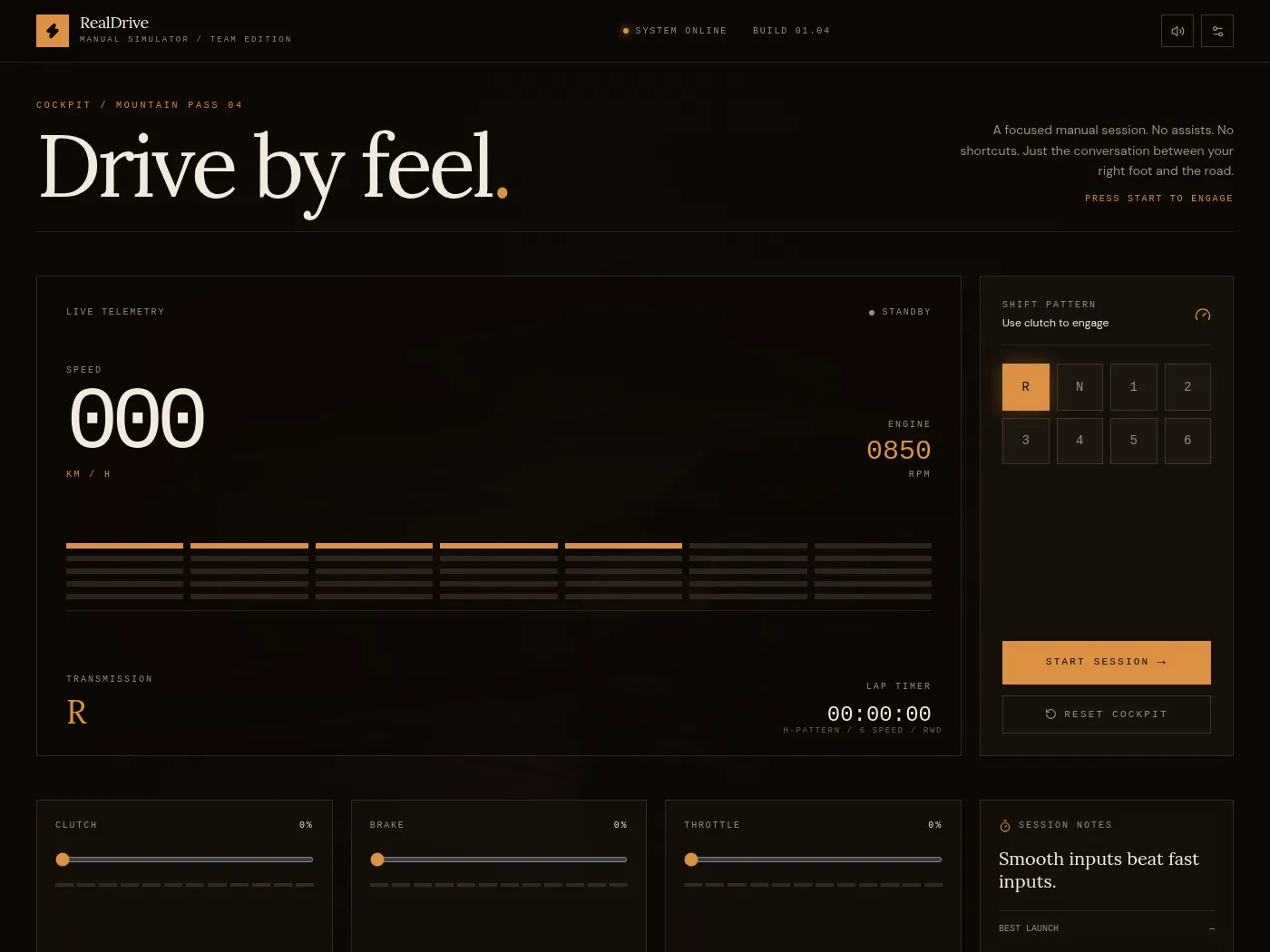 RealDrive Simulator