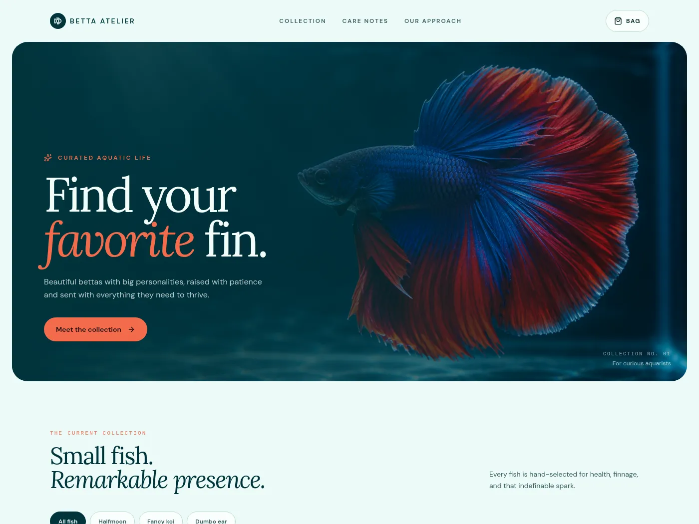 Betta Shop Online